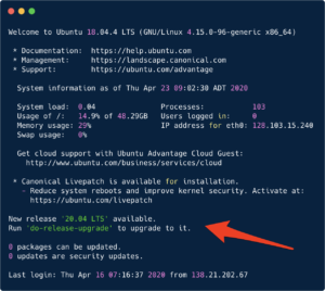 What Does Ubuntu "LTS" Mean and When to Choose LTS Over Other Releases ...