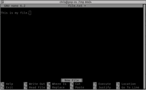 How to Easily Edit Files Over SSH with Nano - SpinupWP