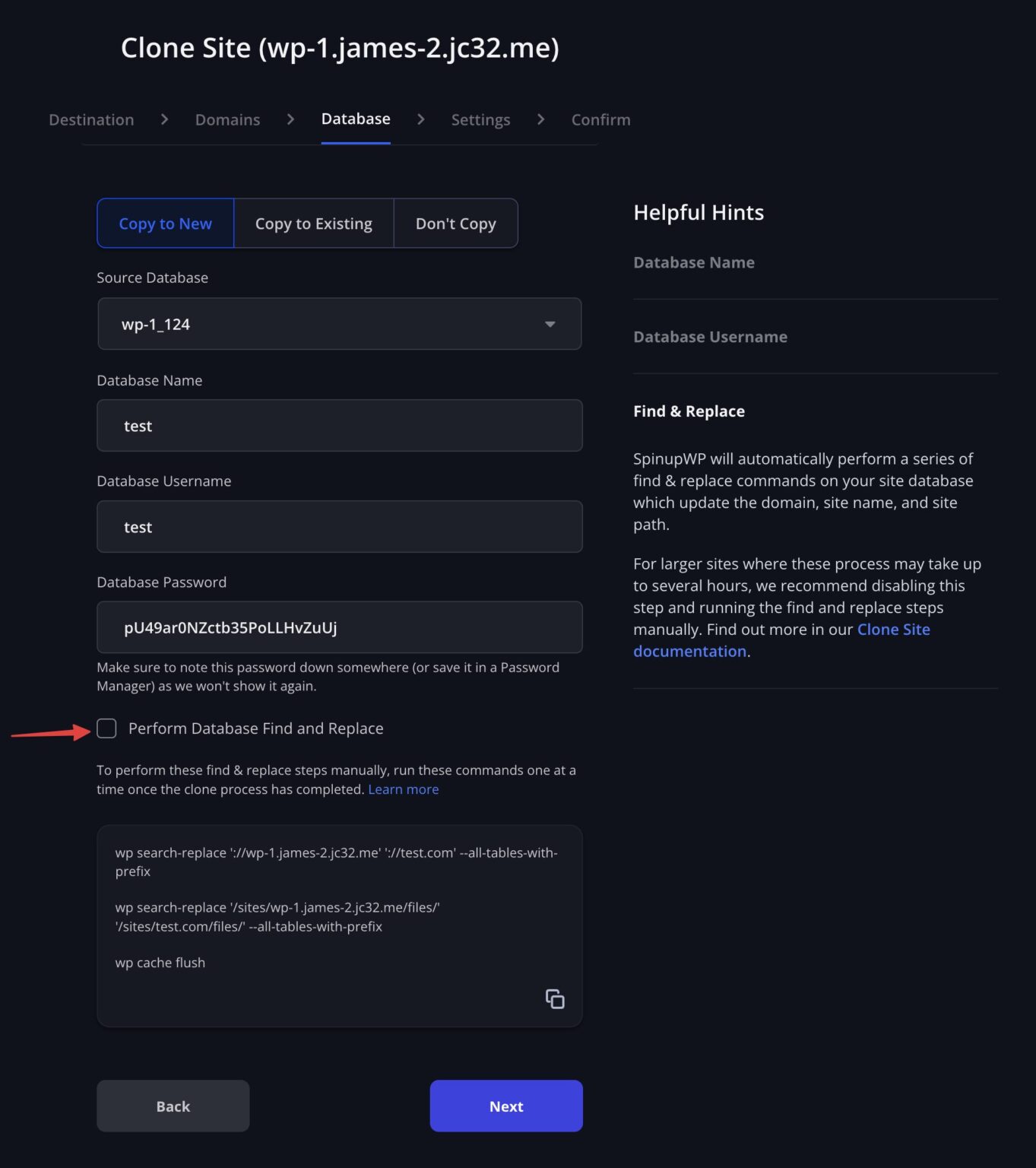 Clone Site - SpinupWP